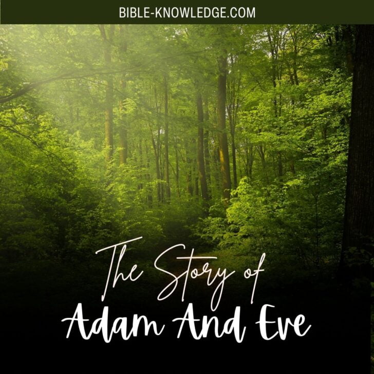 Learn The Secrets From The Story of Moses & How To Apply To Your Life