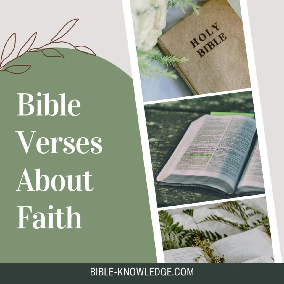 Discover What Are The Bible Verses About Faith