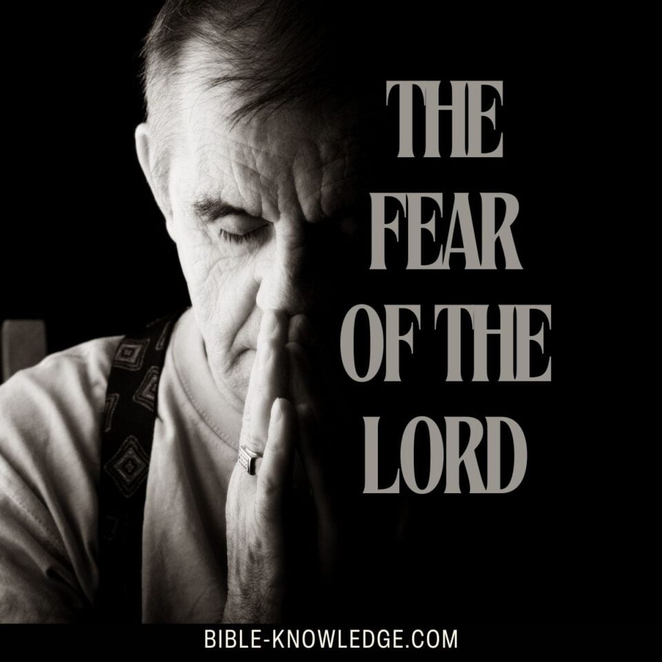 Fear of the Lord Is The Beginning of Wisdom