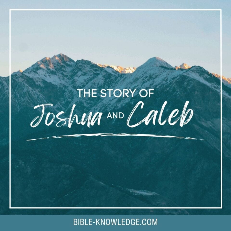 Joshua and Caleb Story From The Bible