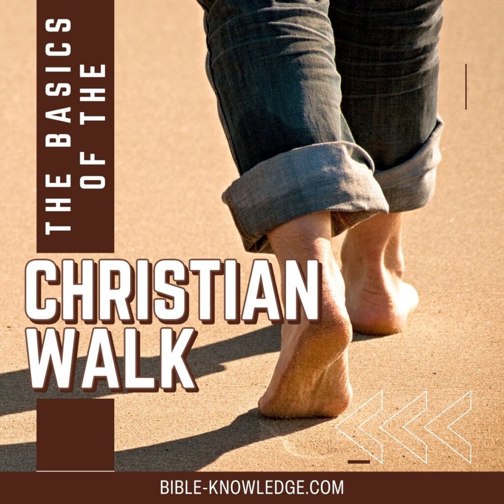 Getting To Understand The Basics of the Christian Walk