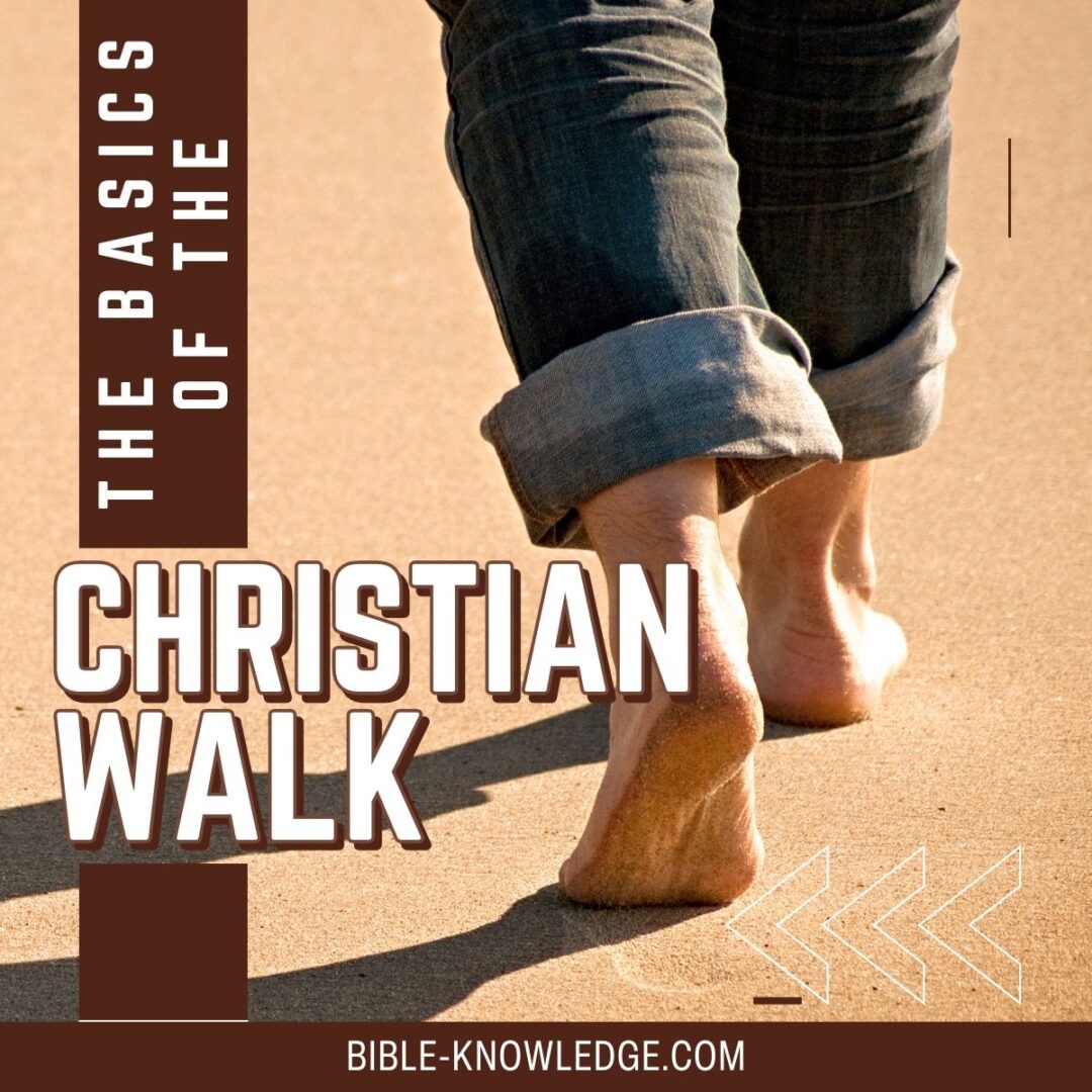 Getting To Understand The Basics of the Christian Walk